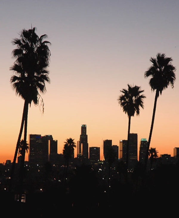 Temporal: Q & A With Creator Carter Branch - Olfactif